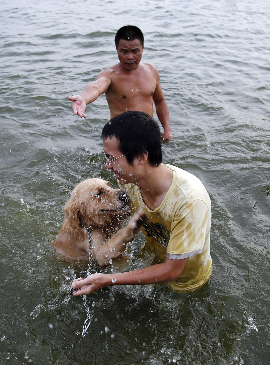 Vietnamesen haben Hunde nicht mehr nur zum Essen gern